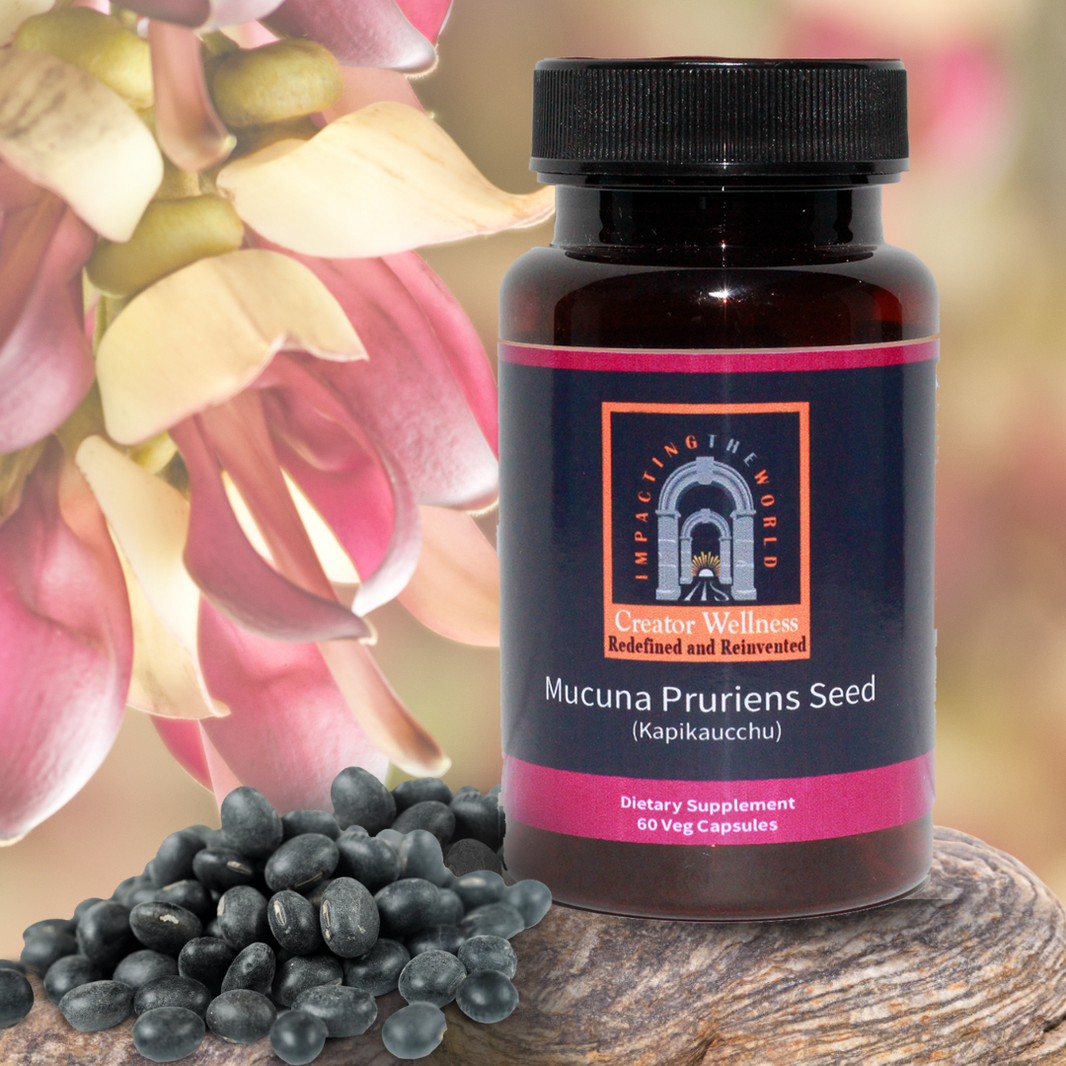 Empower Mind, Body & Wellness with Creator Wellness – creatorwellness